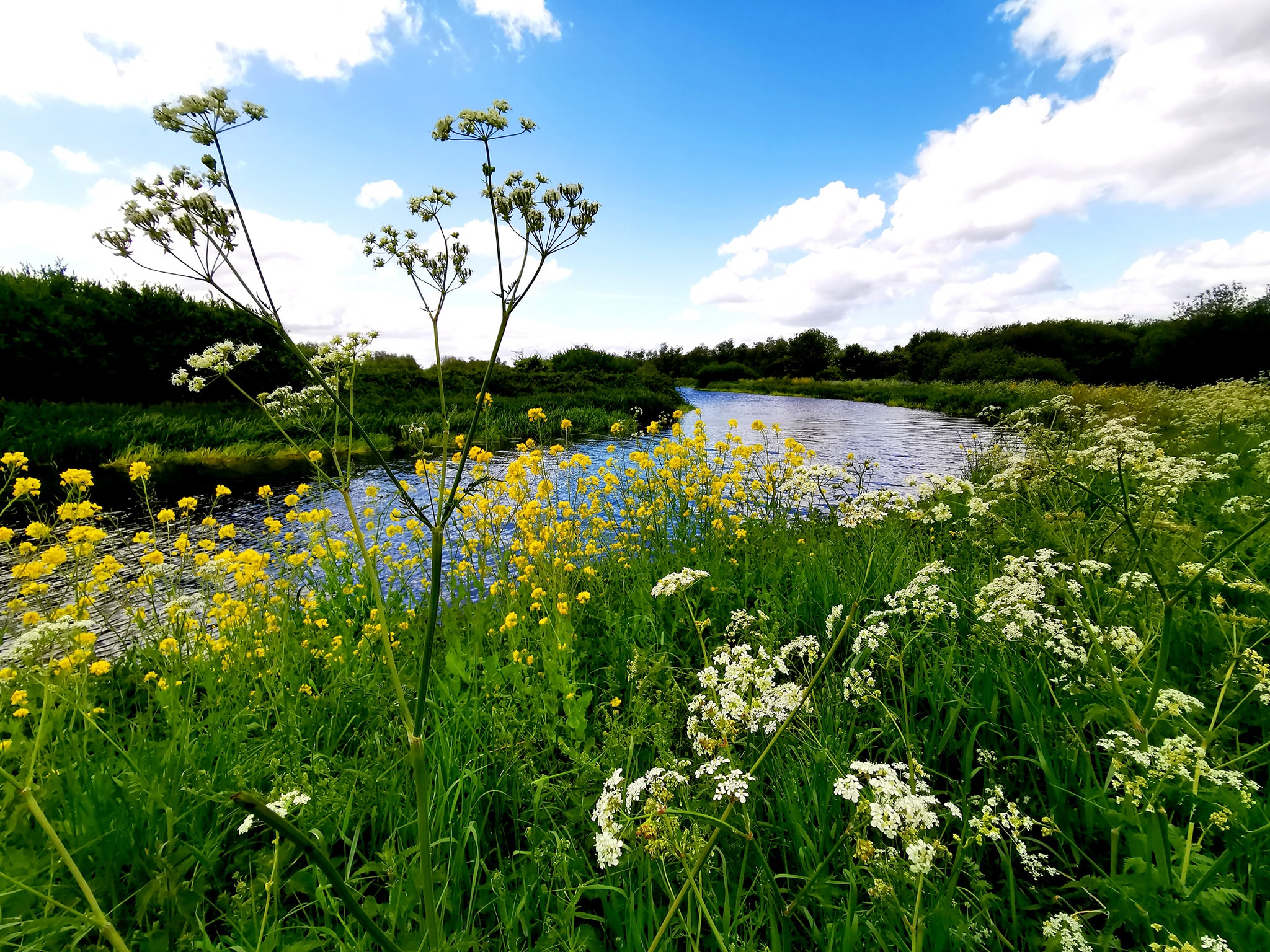 River Nene Information - Elton Boat Club